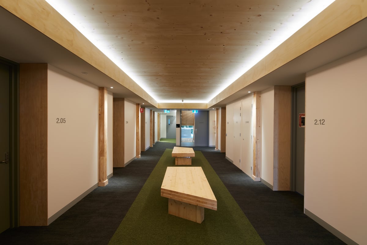 Why Cross Laminated Timber Is The Great Disruptor