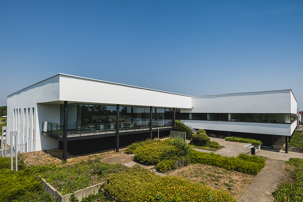 Crépi décoratif Knauf pour le cabinet d'avocats Gevaco