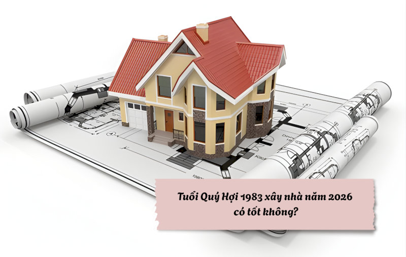 Khung xương vách thạch cao: Hướng dẫn chọn đúng và thi công chuẩn